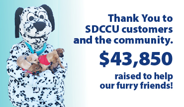 SDCCU Raises $43,850 for Animal Shelters and Rescues in San Diego ...